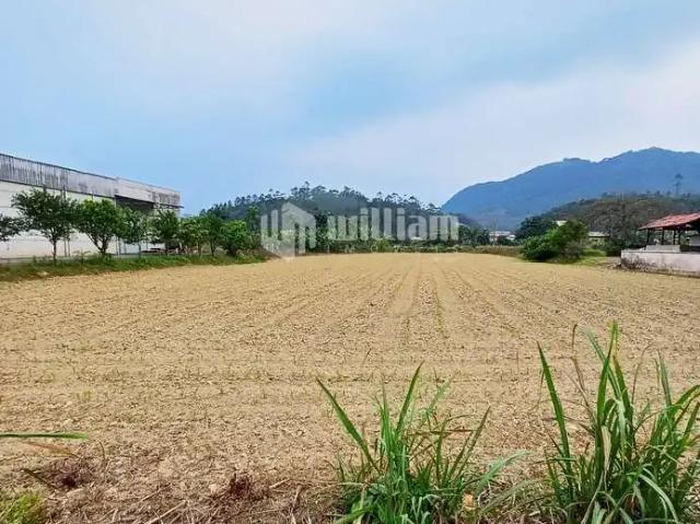 Terreno / Lote para Venda em Guabiruba/SC Aymoré