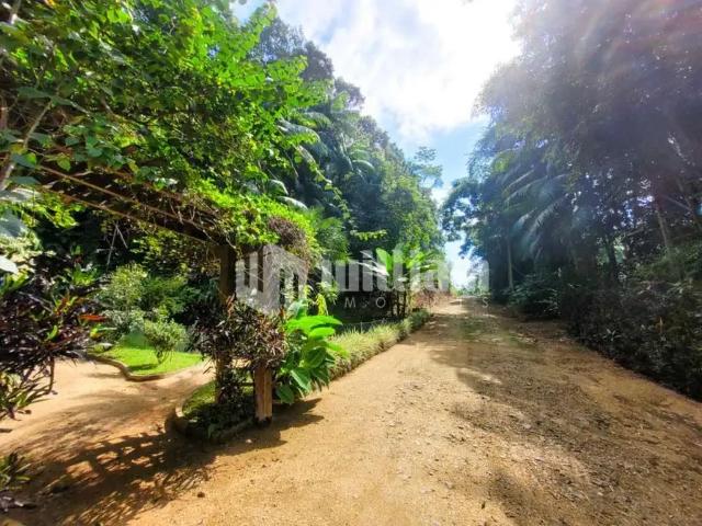 Terreno / Lote para Venda em Guabiruba/SC Centro