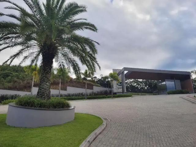 Terreno / Lote para Venda em Guabiruba/SC Centro