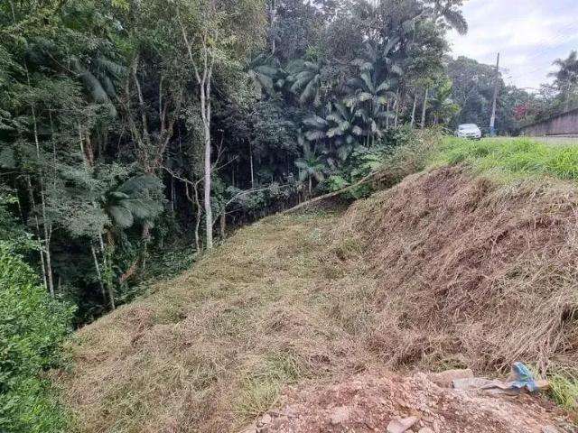 Terreno / Lote para Venda em Guabiruba/SC Centro