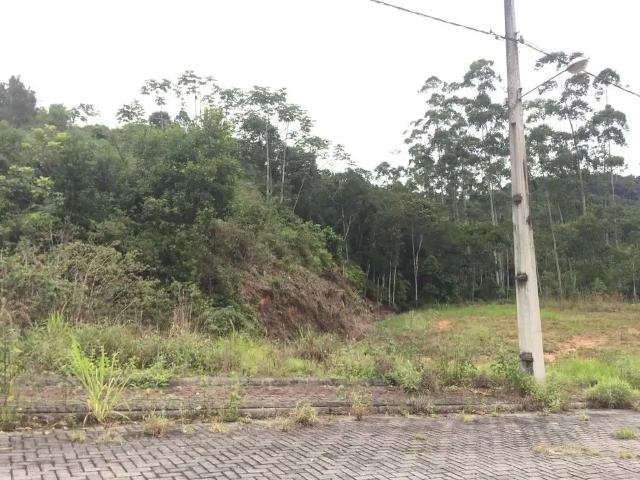 Terreno / Lote para Venda em Guabiruba/SC Centro