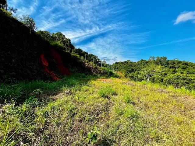 Terreno / Lote para Venda em Guabiruba/SC Centro