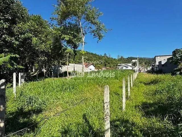 Terreno / Lote para Venda em Guabiruba/SC Guabiruba Sul