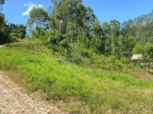 Terreno / Lote para Venda em Guabiruba/SC Lageado Alto