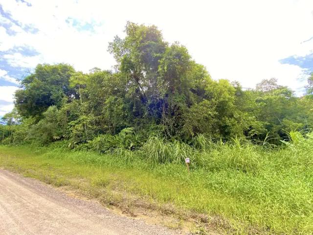 Terreno / Lote para Venda em Guabiruba/SC Pomerania