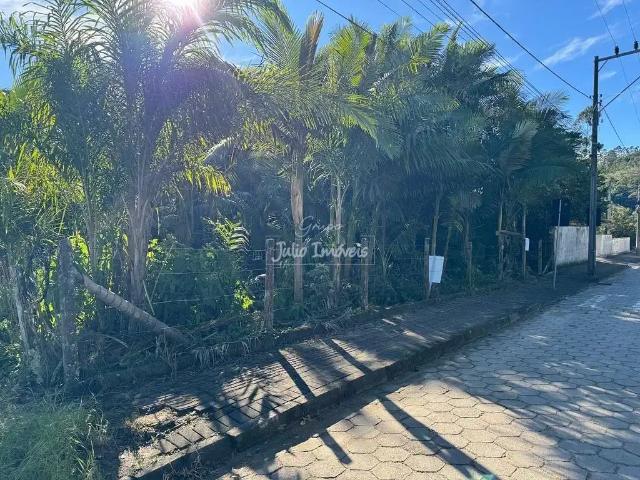 Terreno / Lote para Venda em Guabiruba/SC Planície Alta