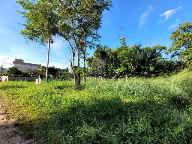 Terreno / Lote para Venda em Guabiruba/SC São Pedro