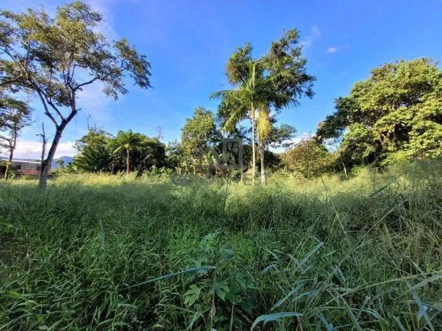 Terreno / Lote para Venda em Guabiruba/SC São Pedro