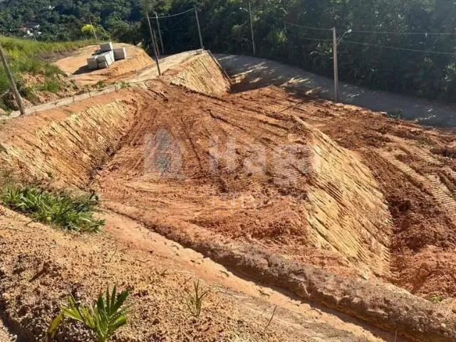 Terreno / Lote para Venda em Guabiruba/SC São Pedro