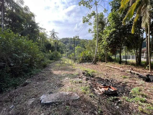 Terreno / Lote para Venda em Guabiruba/SC São Pedro