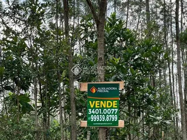 Terreno / Lote para Venda em Guaíba/RS Zona Rural