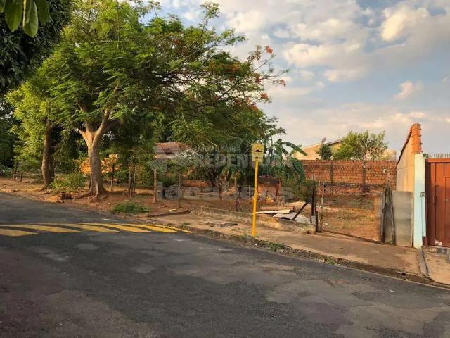 Terreno / Lote para Venda em Guapiaçu/SP Jardim Alvorada