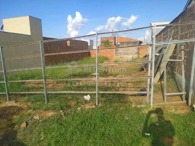Terreno / Lote para Venda em Guapiaçu/SP Zona Rural