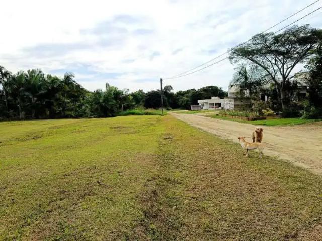 Terreno / Lote para Venda em Guaramirim/SC Corticeira