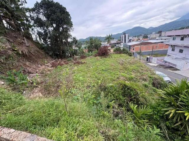 Terreno / Lote para Venda em Guaramirim/SC Centro