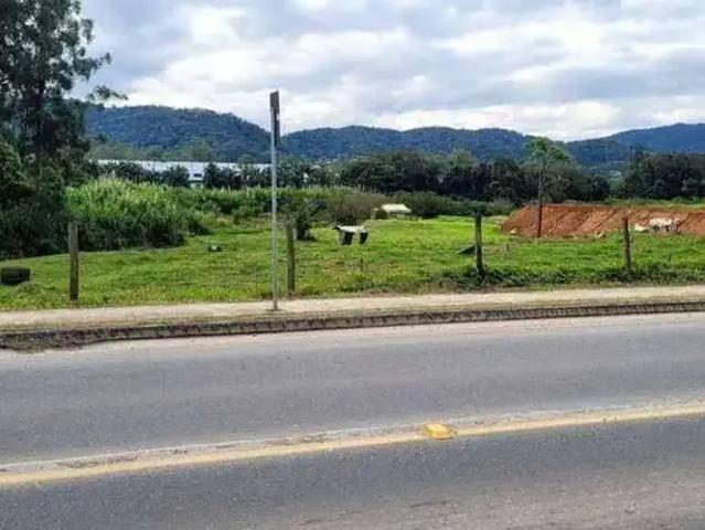 Terreno / Lote para Venda em Guaramirim/SC Ilha da Figueira