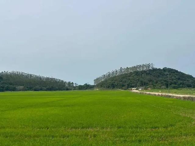 Terreno / Lote para Venda em Guaramirim/SC Zona Rural