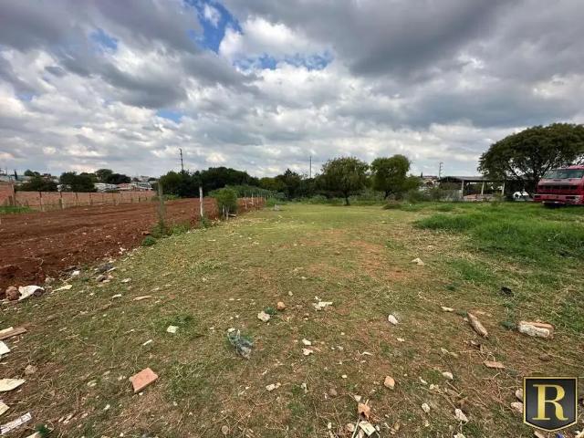 Terreno / Lote para Venda em Guarapuava/PR Conradinho
