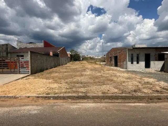 Terreno / Lote para Venda em Guarapuava/PR Cascavel