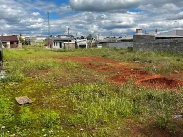 Terreno / Lote para Venda em Guarapuava/PR Cascavel