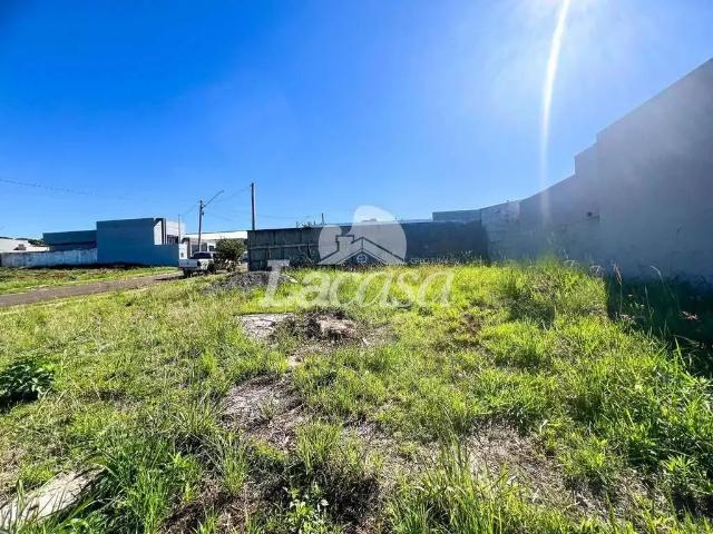 Terreno / Lote para Venda em Guarapuava/PR Alto Cascavel