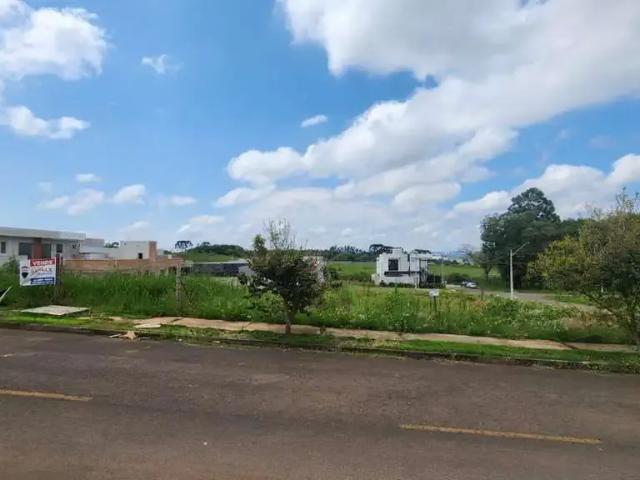 Terreno / Lote para Venda em Guarapuava/PR Alto Cascavel