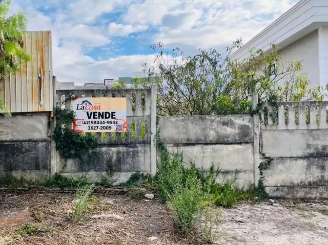 Terreno / Lote para Venda em Guarapuava/PR Alto da XV