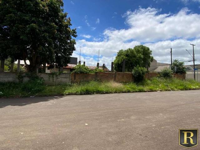 Terreno / Lote para Venda em Guarapuava/PR Morro Alto
