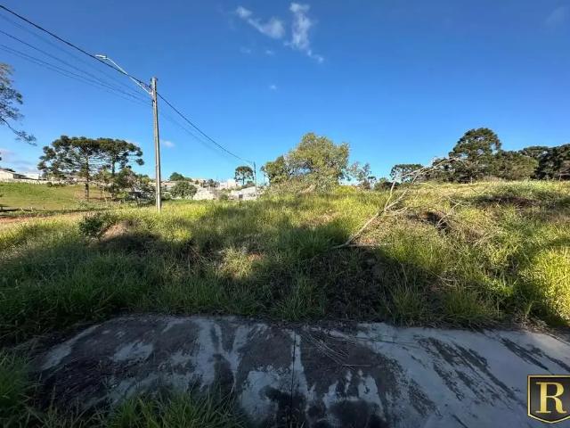 Terreno / Lote para Venda em Guarapuava/PR Boqueirão