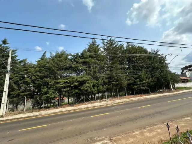 Terreno / Lote para Venda em Guarapuava/PR Boqueirão