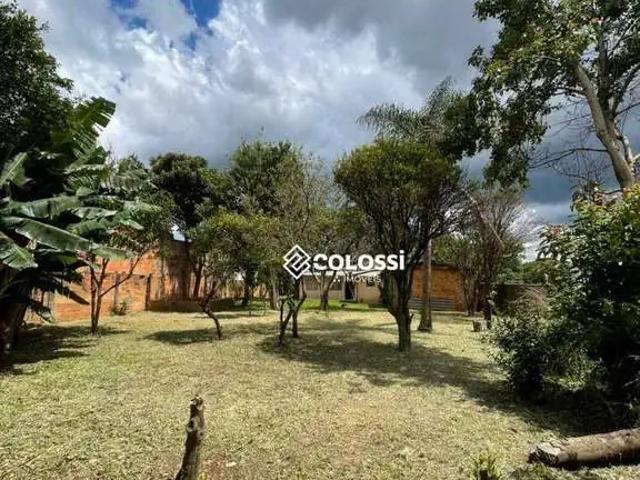 Terreno / Lote para Venda em Guarapuava/PR Batel