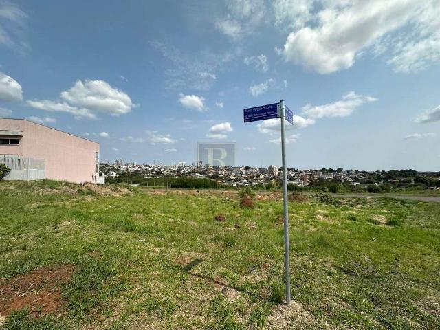 Terreno / Lote para Venda em Guarapuava/PR Conradinho
