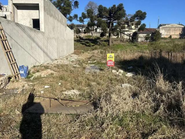 Terreno / Lote para Venda em Guarapuava/PR Dos Estados