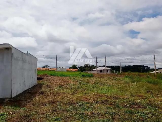 Terreno / Lote para Venda em Guarapuava/PR Industrial