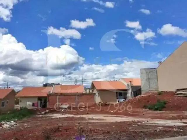 Terreno / Lote para Venda em Guarapuava/PR Industrial
