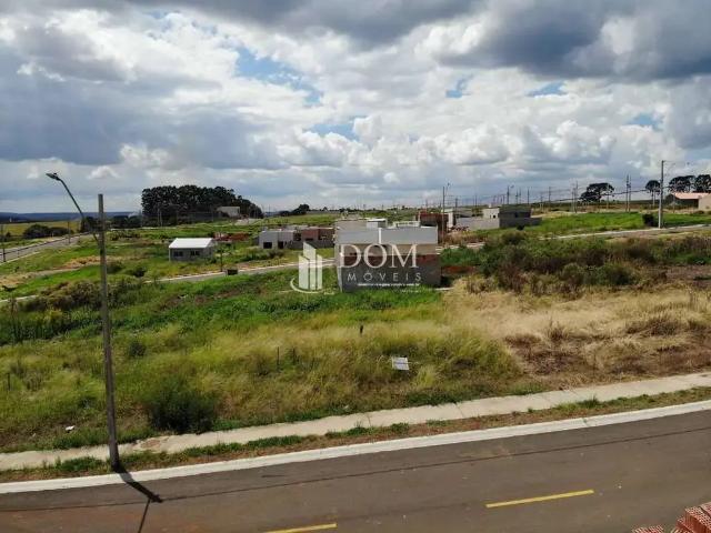 Terreno / Lote para Venda em Guarapuava/PR Industrial
