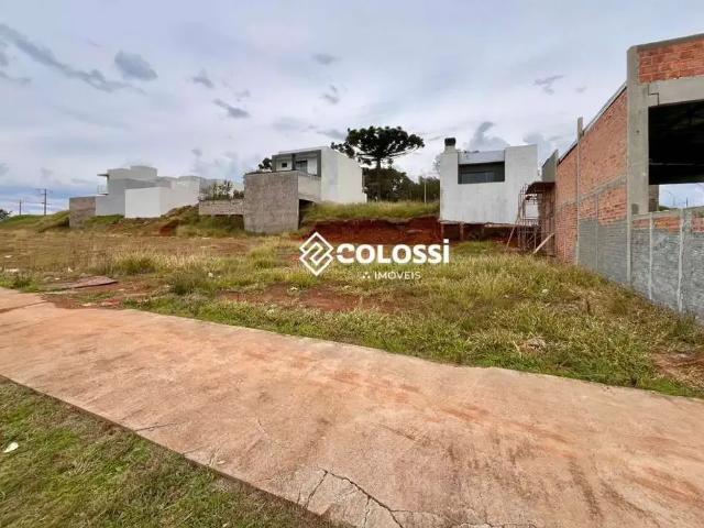 Terreno / Lote para Venda em Guarapuava/PR Industrial