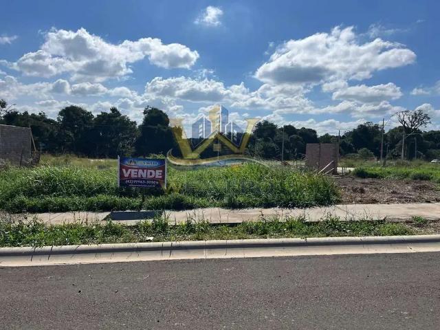 Terreno / Lote para Venda em Guarapuava/PR Industrial