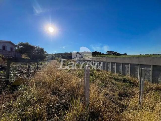 Terreno / Lote para Venda em Guarapuava/PR Industrial