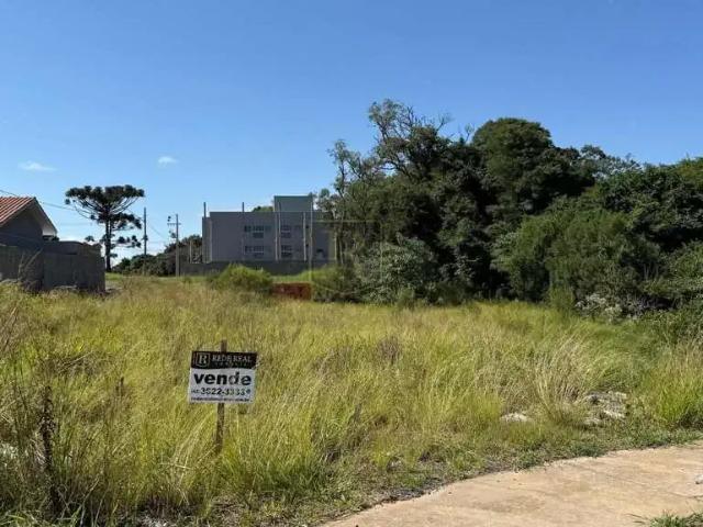 Terreno / Lote para Venda em Guarapuava/PR Industrial