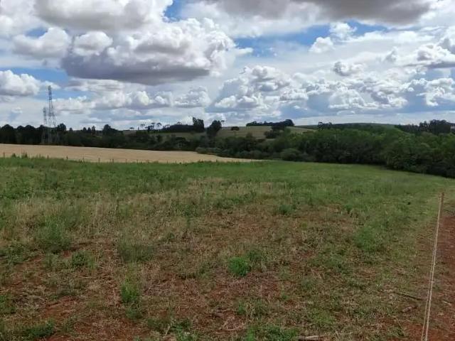 Terreno / Lote para Venda em Guarapuava/PR Jardim das Américas