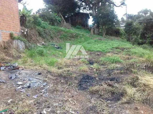 Terreno / Lote para Venda em Guarapuava/PR Morro Alto