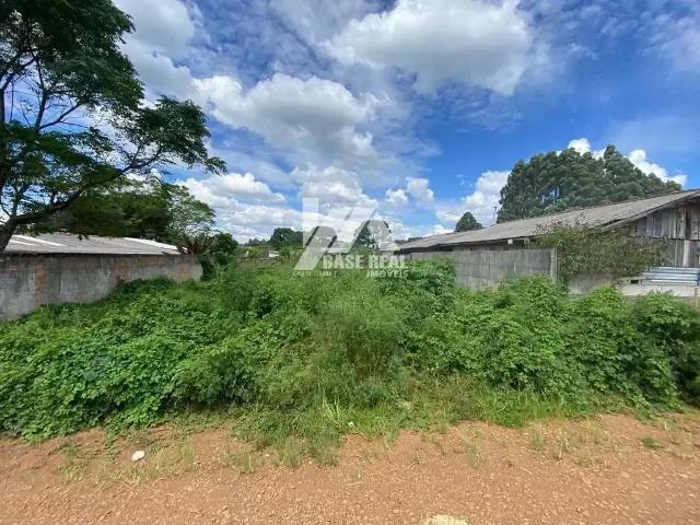 Terreno / Lote para Venda em Guarapuava/PR Morro Alto