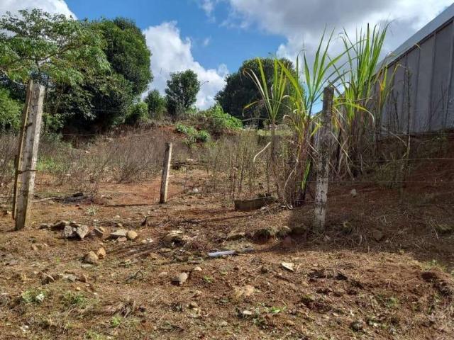 Terreno / Lote para Venda em Guarapuava/PR Industrial