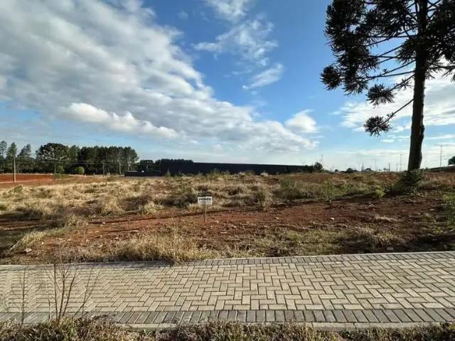 Terreno / Lote para Venda em Guarapuava/PR Morro Alto
