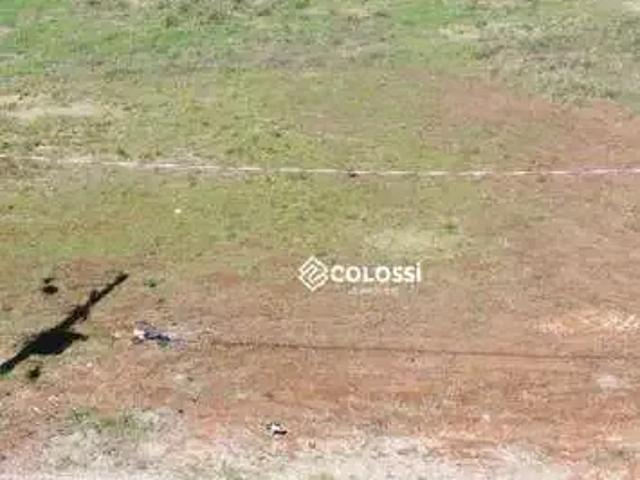 Terreno / Lote para Venda em Guarapuava/PR Morro Alto