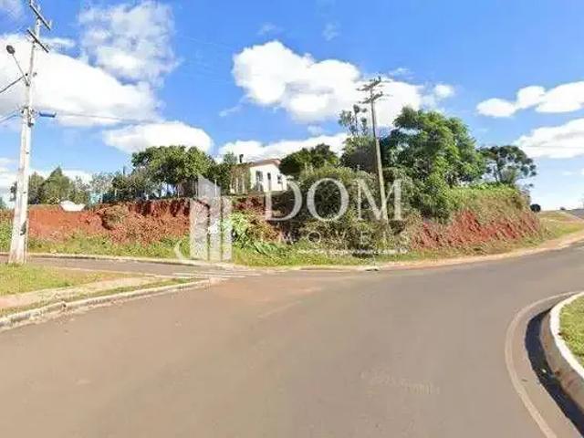 Terreno / Lote para Venda em Guarapuava/PR Morro Alto