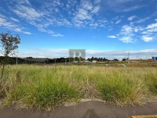 Terreno / Lote para Venda em Guarapuava/PR Morro Alto