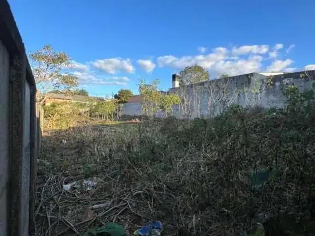 Terreno / Lote para Venda em Guarapuava/PR Morro Alto