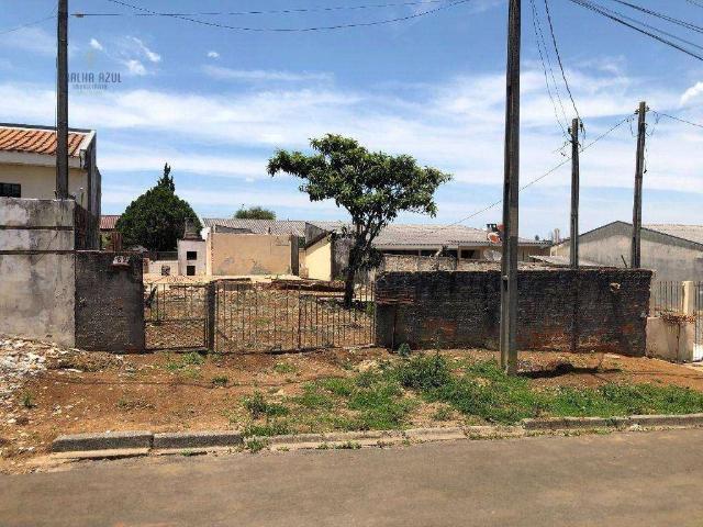 Terreno / Lote para Venda em Guarapuava/PR Morro Alto